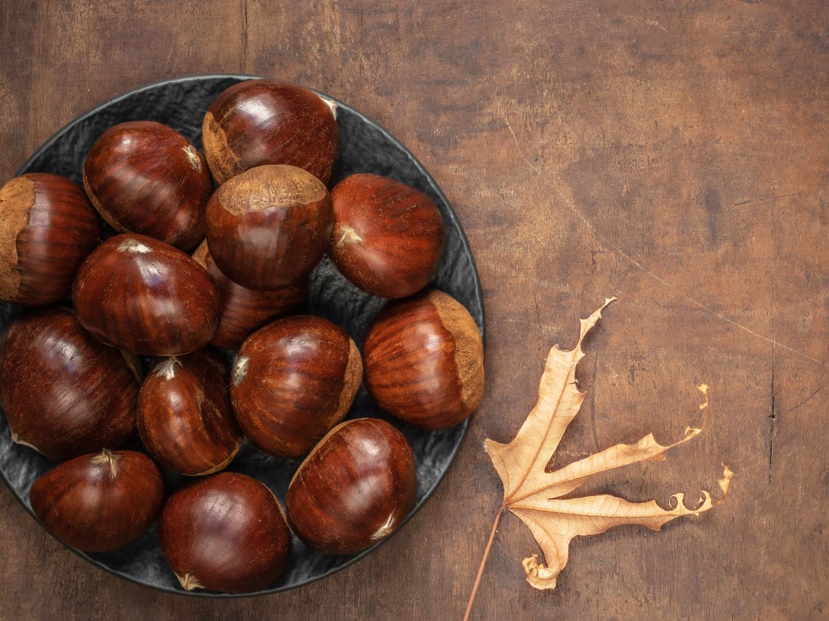 Programme de la Castanyada 2024 à Barcelone